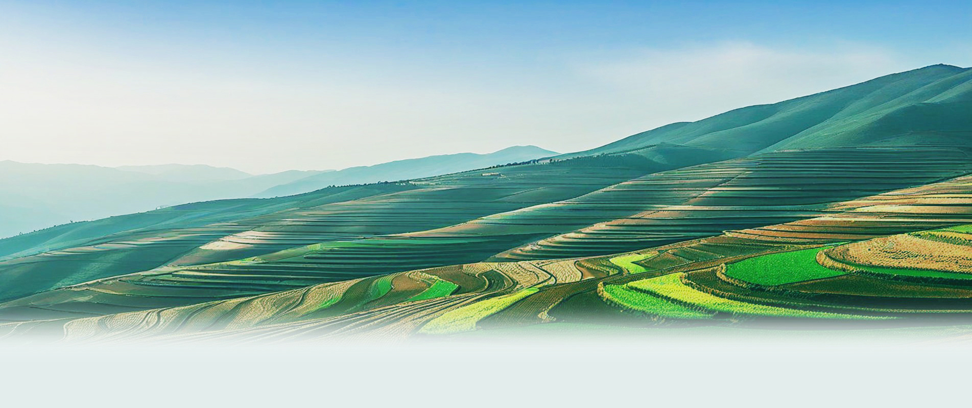 农业部信息中心负责人就12316答记者问_甘肃省农业农村厅