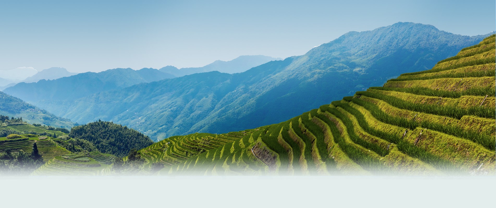 农业部信息中心负责人就12316答记者问_甘肃省农业农村厅