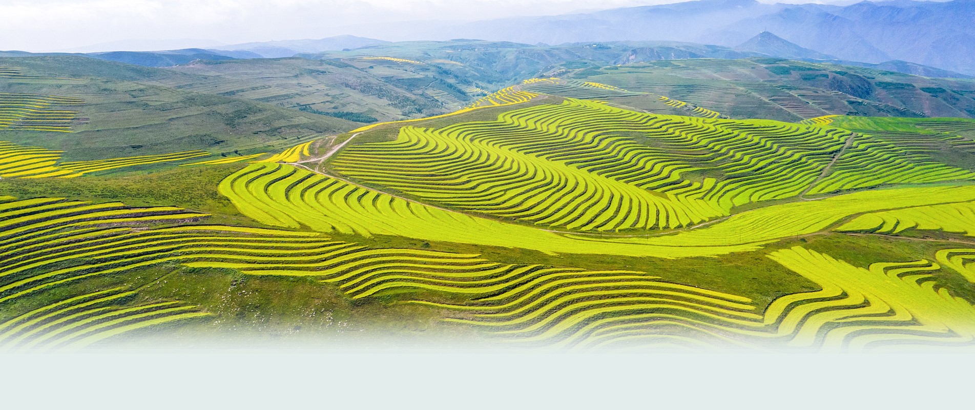 农业部信息中心负责人就12316答记者问_甘肃省农业农村厅